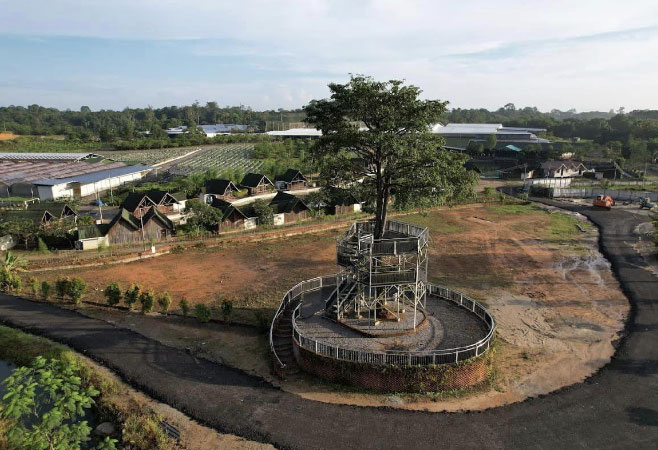 Time out for a night at a Sarawak farm - TTR Weekly