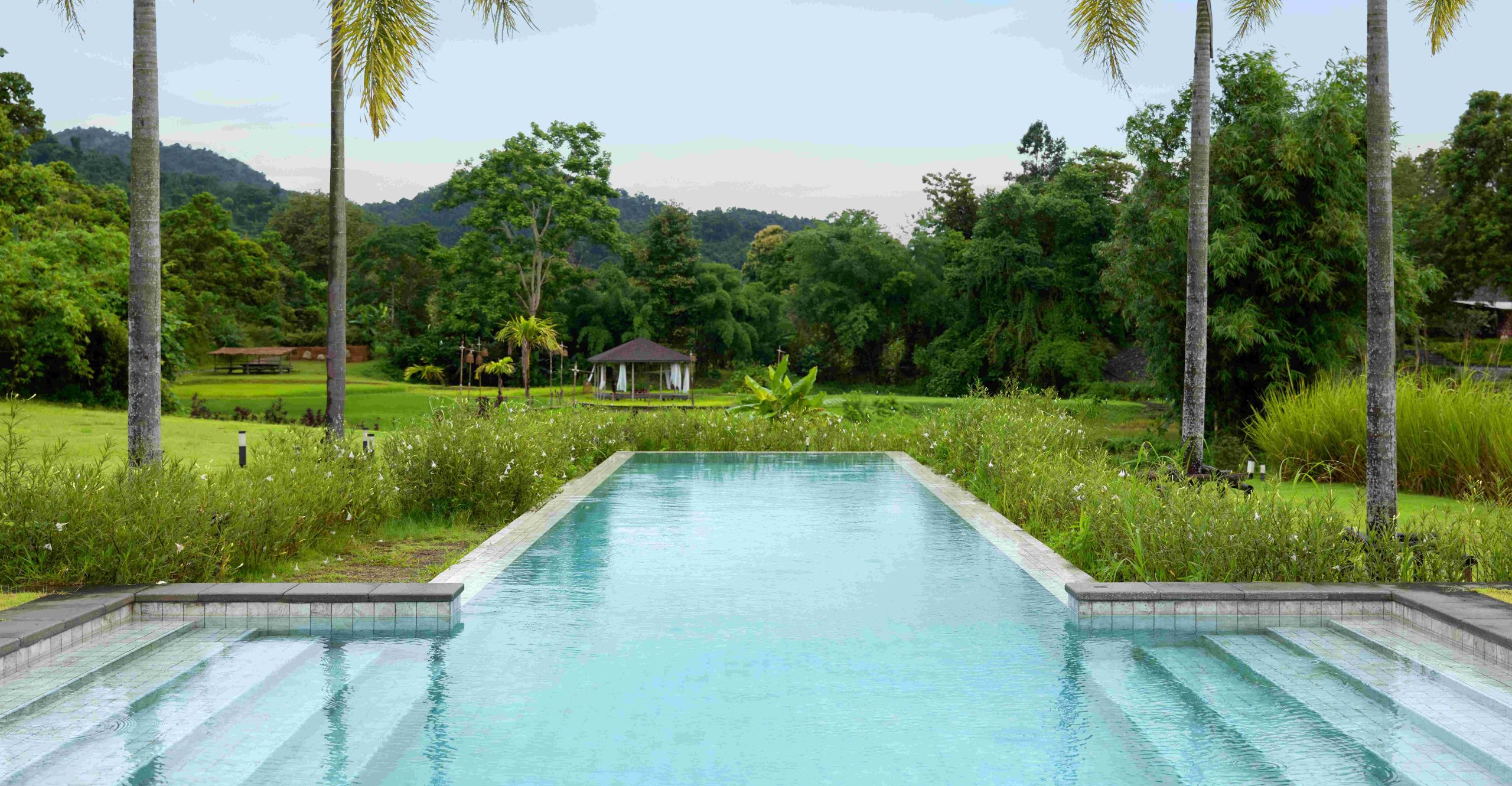 Dusit brings ‘Tree of Life’ to Chiang Rai - TTR Weekly